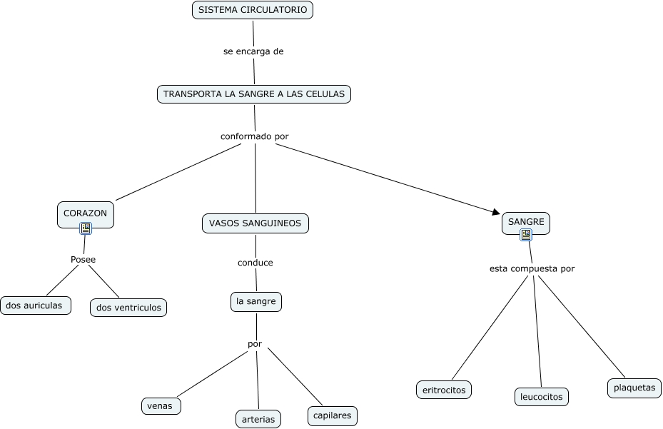 SISTEMA CIRCULATORIO